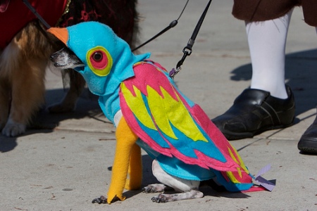9 Halloween Costume Ideas for Your Dog - 123Print Blog